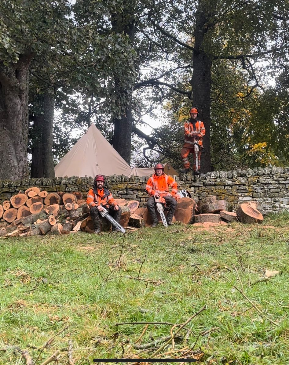 Tree Surgeons in Hexham | Tree Beard Tree Surgery Ltd